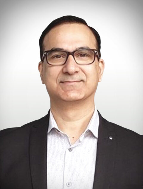 About - Dorigo Systems